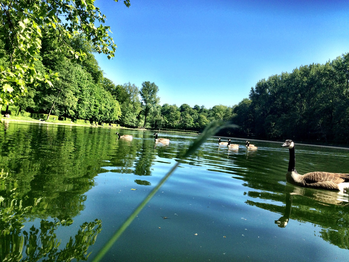 Rouge Cloître, where nature meets history and art – Springhill Stories